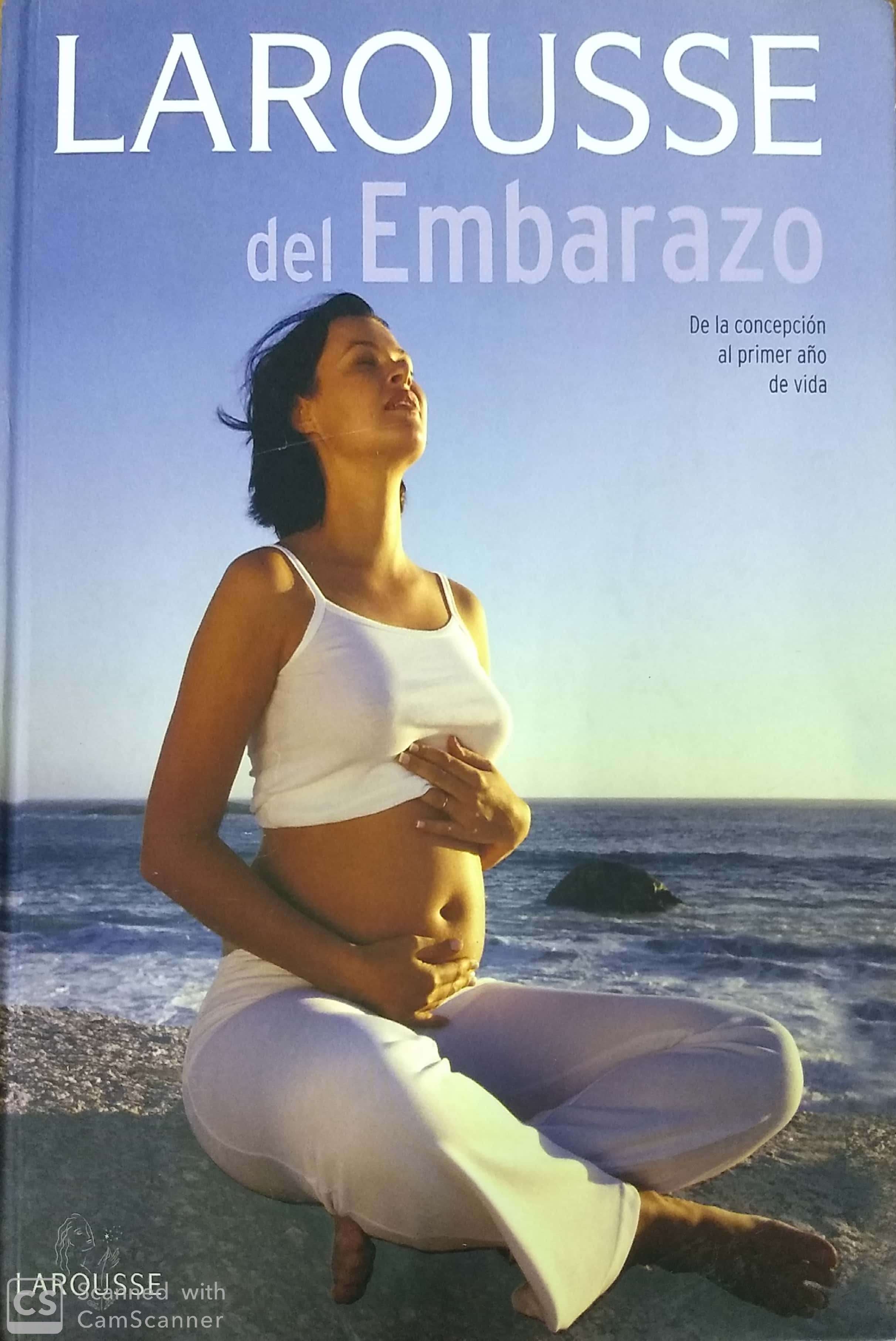Larousse del Embarazo