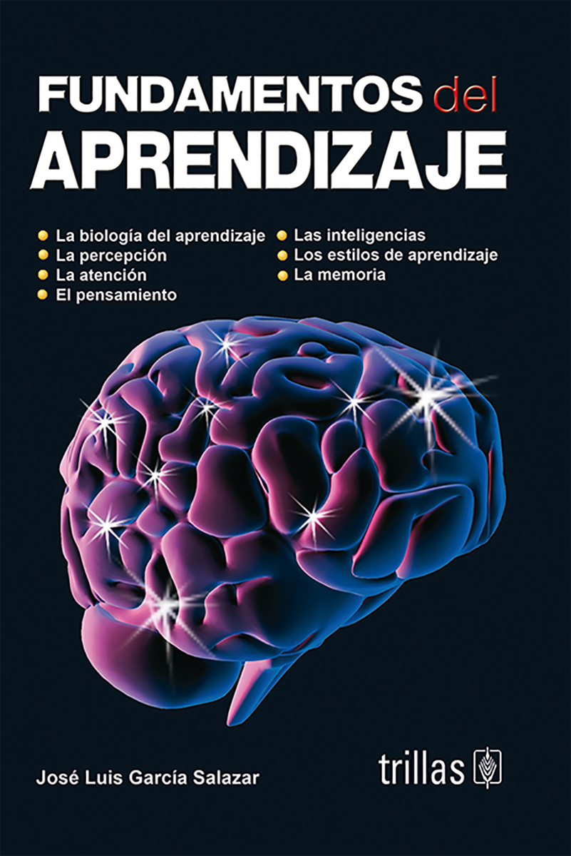 Fundamentos del Aprendizaje