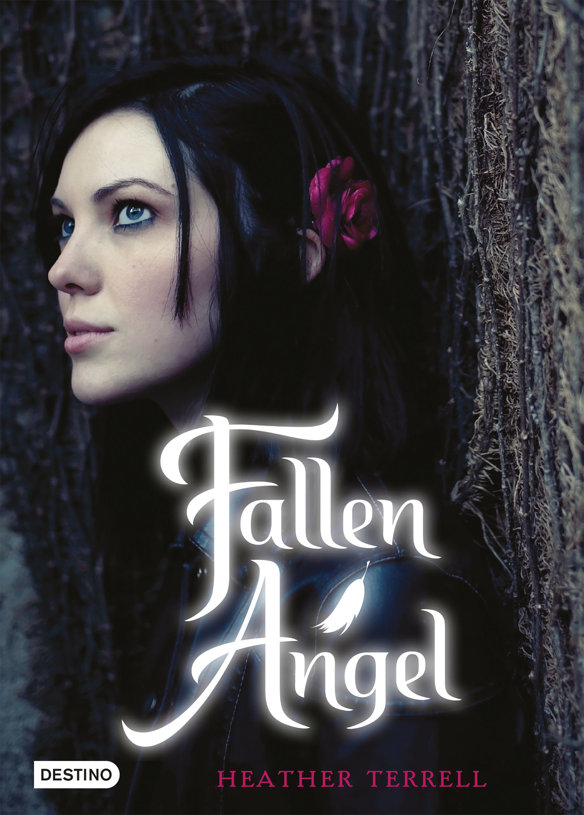 Fallen Angel