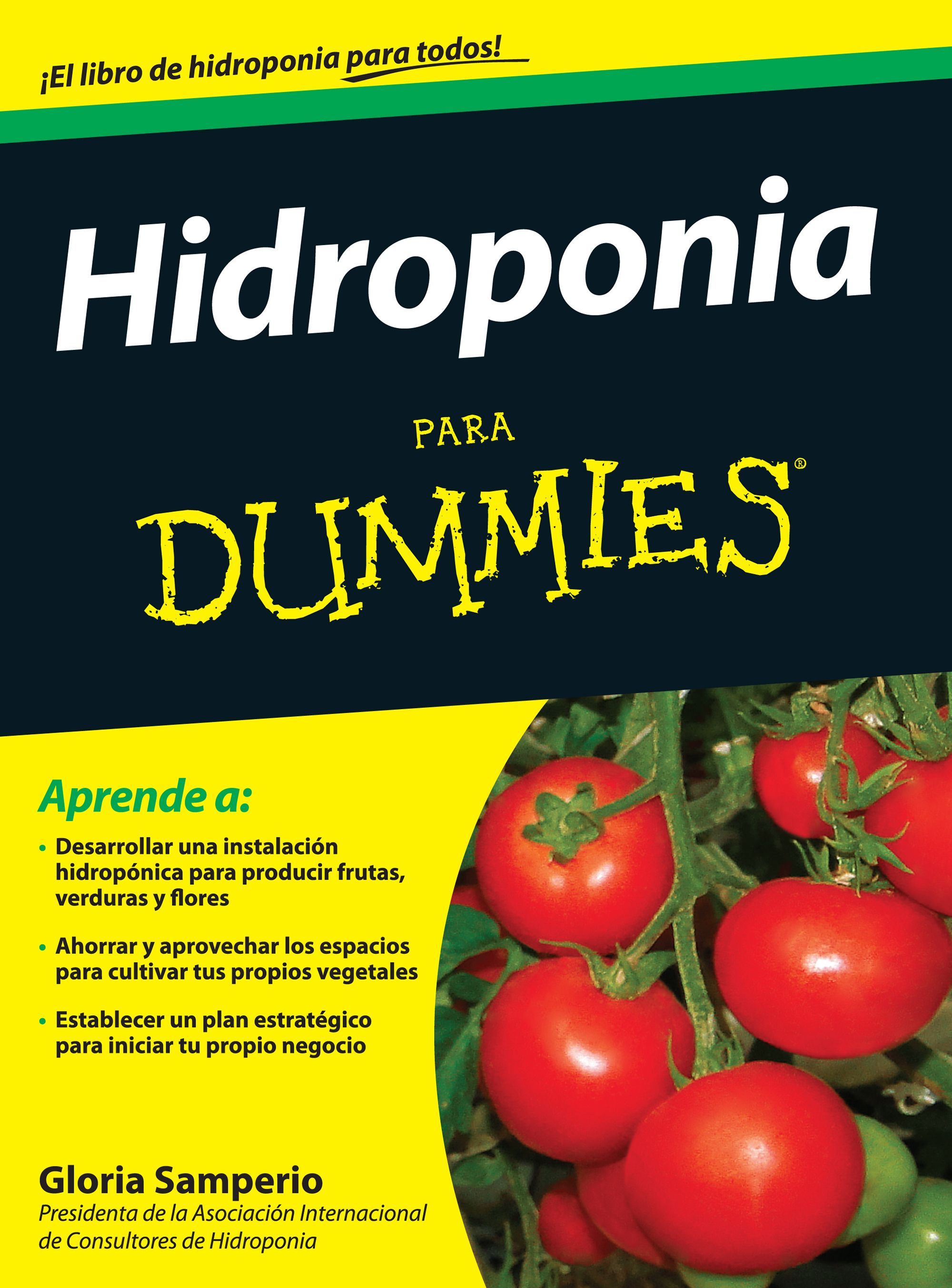 Hidroponia para dummies