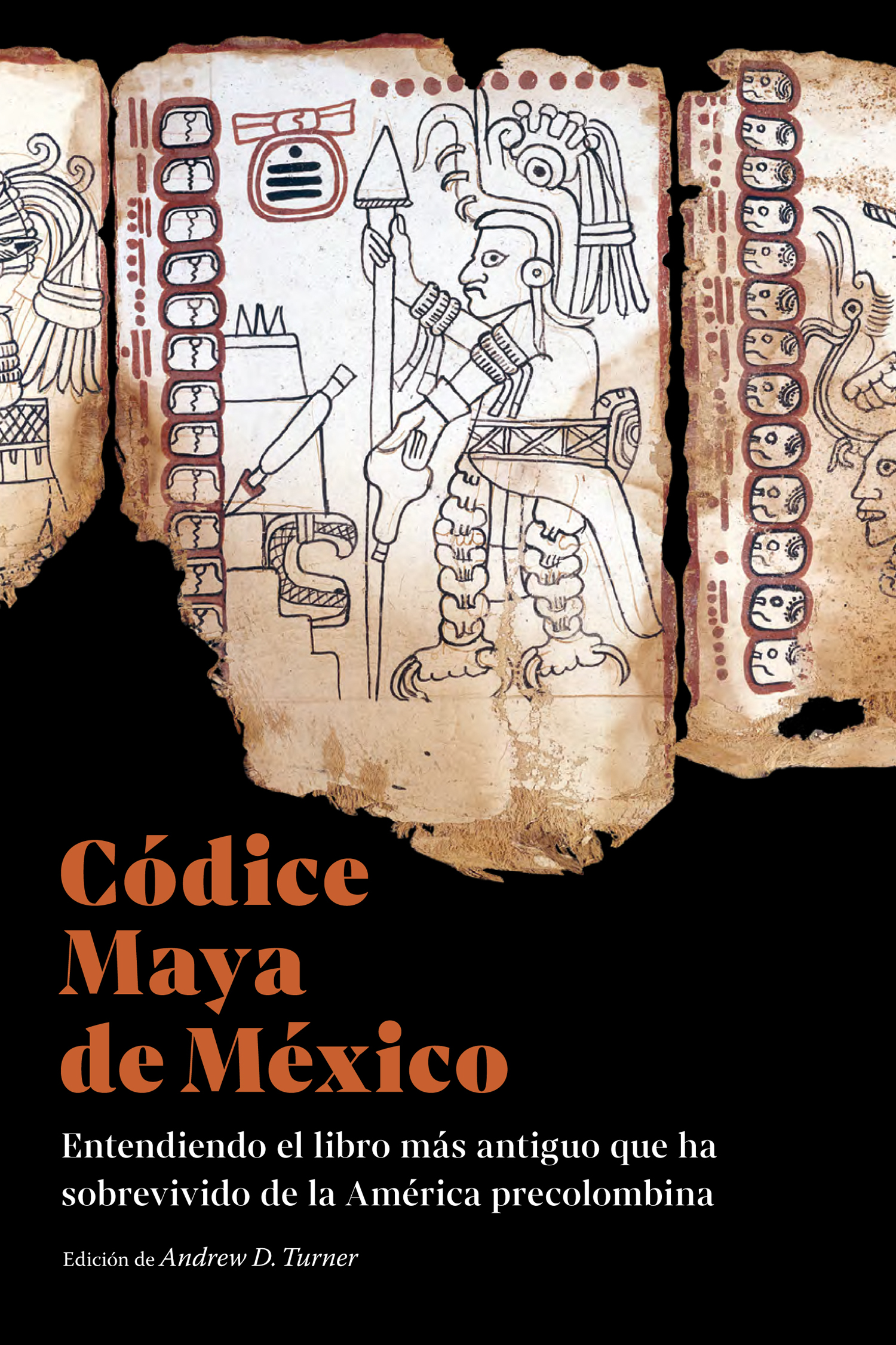 Códice Maya de México