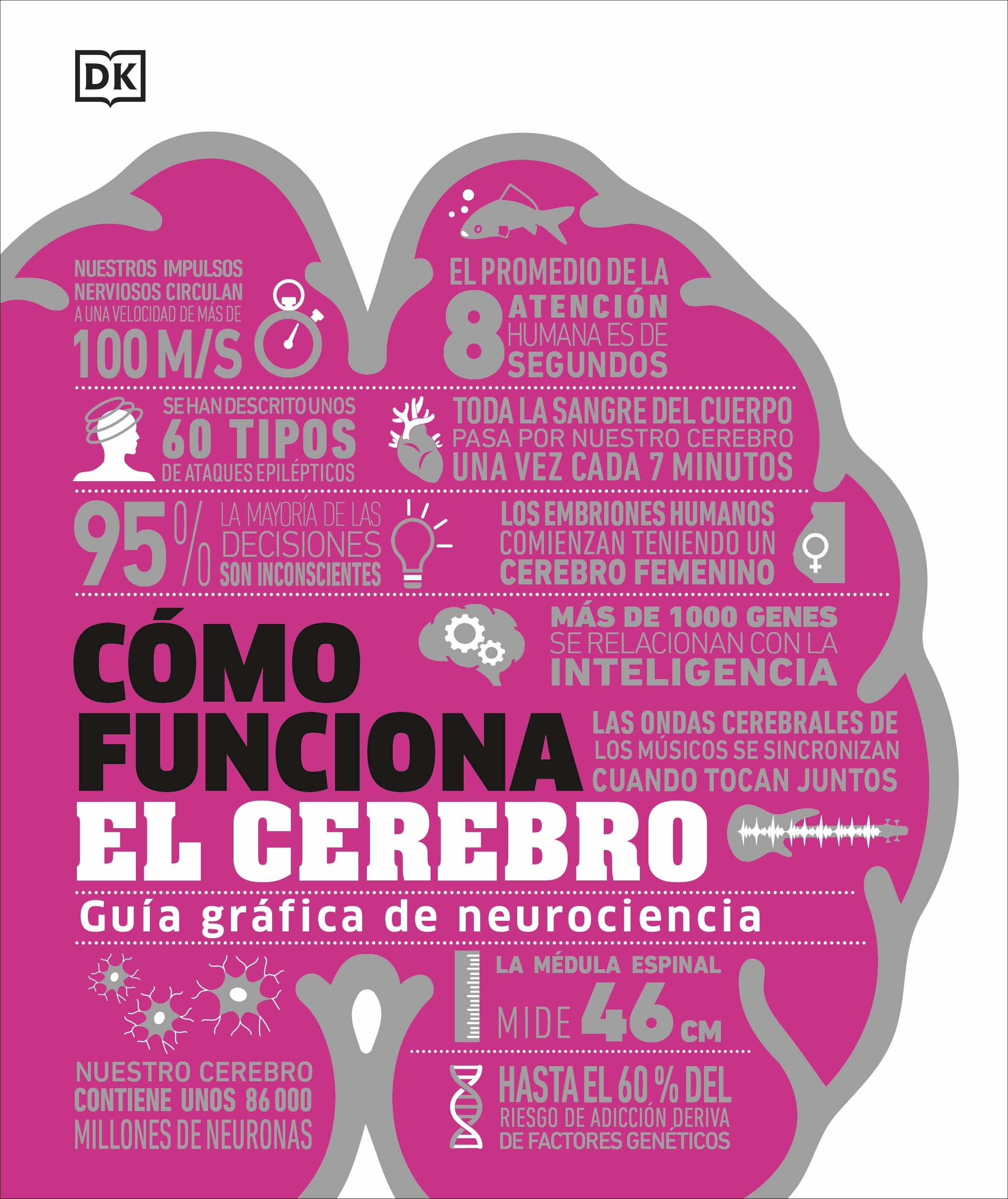 Cómo funciona el cerebro Cómo funciona el cerebro
