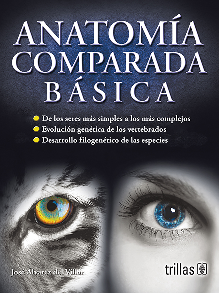 Anatomía comparada básica